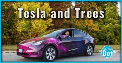 Tesla And Trees The Pale Blue Dot Foundation