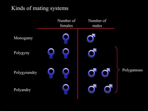ppt mating systems powerpoint presentation free download id 1000998