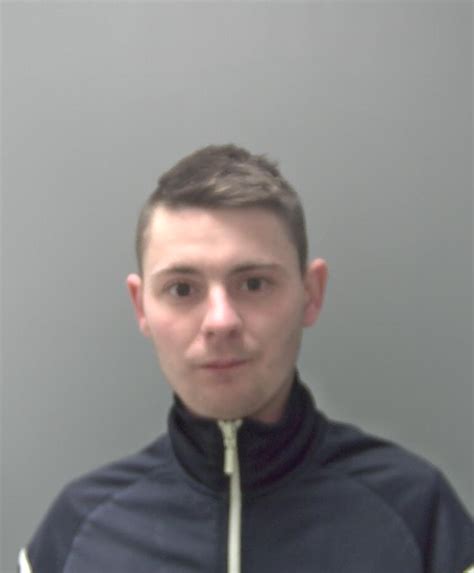 Daniel Outing Paedophile