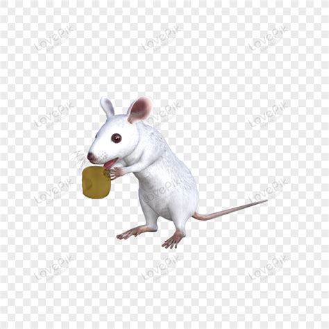 화이트 마우스 3d 렌더링 Png 일러스트 무료 다운로드 Lovepik