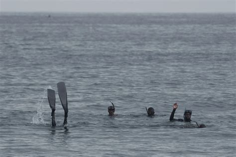 ဆီနီဂေါတွင် ဘုတ်မြုပ်၍ လူ ၁၇ ယောက် သီ Arakan Princess Media