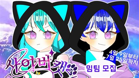 사이버 캣 밈팀 2차 모집 마감 Youtube