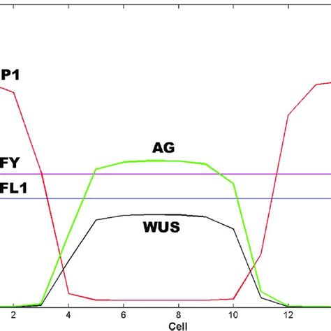 Abc Model Of Flowering A Abc Model Of Flowering For Arabidopsis