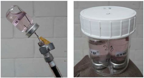 Biogas Sampling Figure 4 Sampling Vials Storage Jar Download
