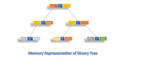 Memory Representation Of Binary Tree Data Structures And Algorithms The Learning Bot Youtube