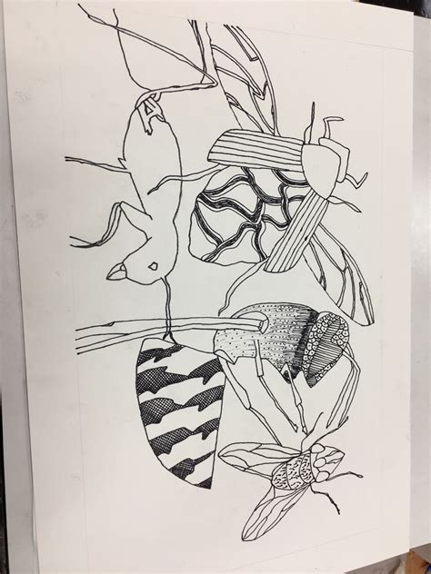 2d Bug Project