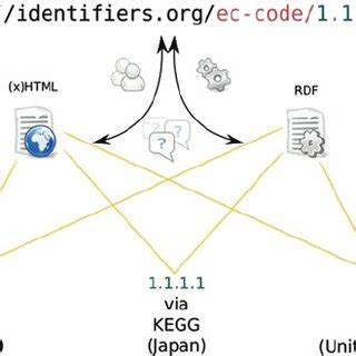 Illustration Of The Relationship Between The Intermediate Resolving Download Scientific Diagram