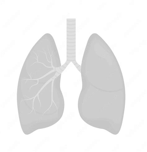 Copd And Emphysema