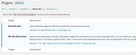 Recenzja Brandoo Wordpress Wpsamuraipl