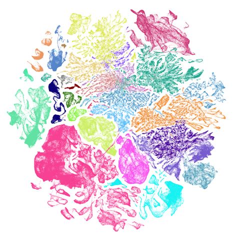 File Requirements And Limits Brain