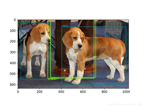 使用tensorflow预训练模型进行物体识别（1）物体识别 Tensorflow孙宝龙的博客 Csdn博客