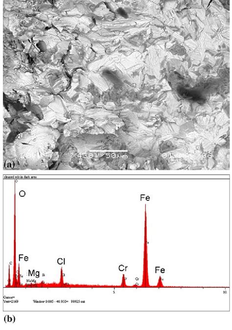 A Sem Micrograph Of Scc Fracture Surface After Cleaning Showing Download Scientific Diagram