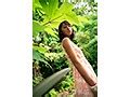 愛しのフィエーダ 竹田ゆめ アダルトDVDブルーレイ通販 FANZA通販