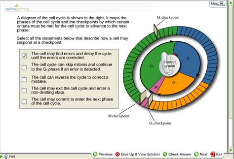 Solved A Diagram Of The Cell Cycle Is Shown To The Right It