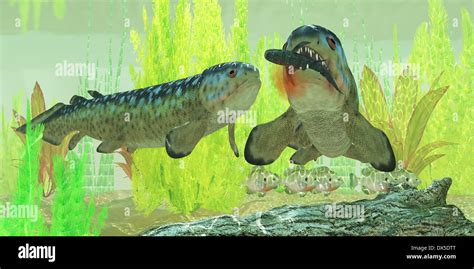 Rhizodus Hibberti Is An Extinct Group Of Carboniferous Predatory Lobe