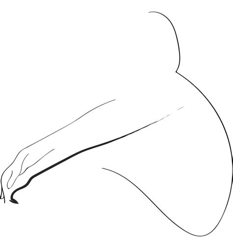 8 Good Sex Tips To Give Him Incredible Pleasure