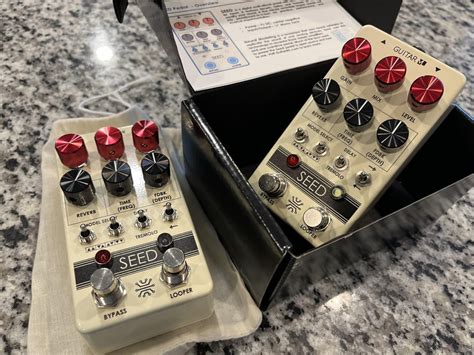 Seed Pedalboard In A Box Built With The Terrarium Platform Rdiypedals