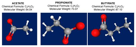 Gut Microbiota And Short Chain Fatty Acids Implications In Glucose Homeostasis