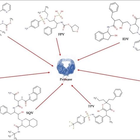 Mechanism Of SiRNA Activity RNA Induced Silencing Complex RISC Download Scientific Diagram