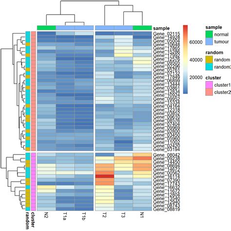 Making A Heatmap In R With The Pheatmap Package