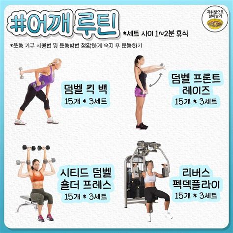 헬스장 뽕뽑는 헬린이 부위별 꿀루틴 총정리 정보지식사이트 Workout Exercise Health Fitness