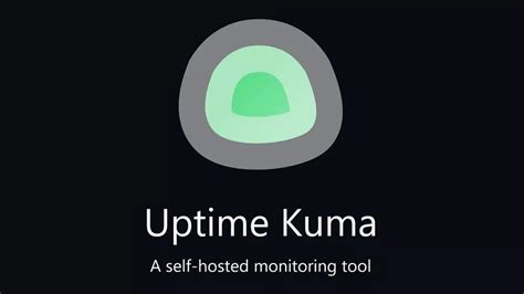 installing uptime kuma easily monitor your home lab services