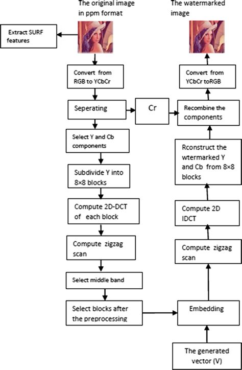 Flowchart Of The Embedding Process Download Scientific Diagram