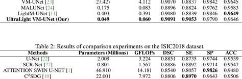 Ultralight Vm Unet Parallel Vision Mamba Significantly Reduces