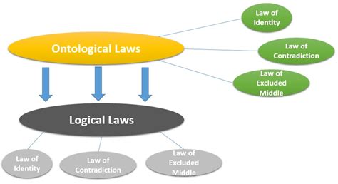 Ontology And Logic Amateur Logician