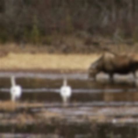 Best Environmental Science Courses And Certificates [2025] Coursera