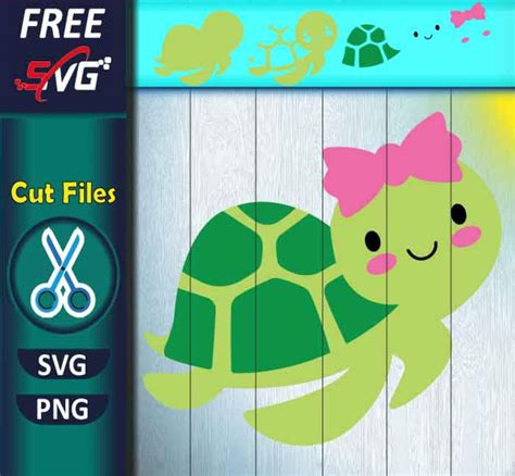 Baby Turtle Girl SVG Free Sea Turtle Svg Free Free SVG Files Etsy Australia