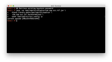 Using A Wild Card Ssl Certificate With The Sap Clo Sap Community