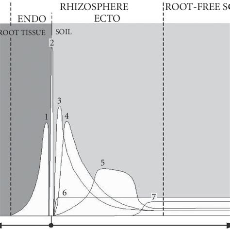 Patch Scale And Multi Patch Scale The Spatial And Temporal Download Scientific Diagram