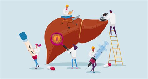 Fibroscan Test Procedure And Results Fortis Healthcare