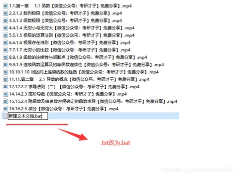 如何批量修改文件夹中不同文件的名字？命令不正确~ ren命令语法不正确 csdn博客