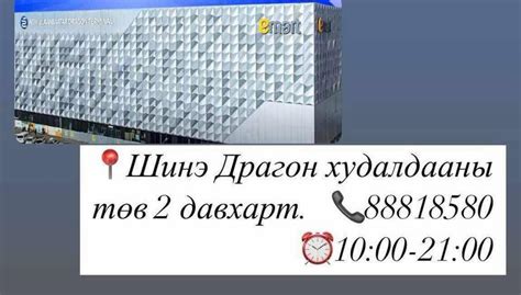 Peach Mongolia Германы Tamaris брэндийн 2021 оны шилдэг загваруудын