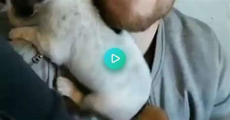 literal heaven on imgur