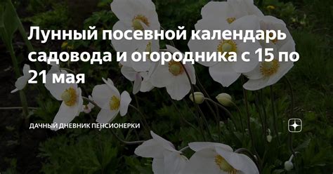 Лунный посевной календарь садовода и огородника с 15 по 21 мая Дачный дневник пенсионерки Дзен