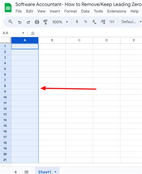 How To Remove Keep Leading Zeros In Google Sheets Software Accountant