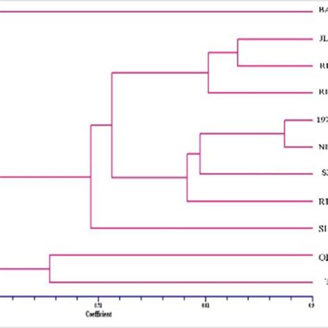 upgma dendrogram for the linseed accessions based on combined issr and