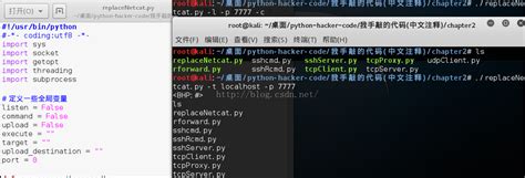 python黑帽子 黑客与渗透测试编程之道 python渗透22端口 csdn博客