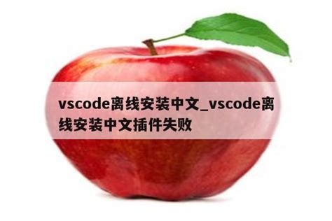 Vscode离线安装中文vscode离线安装中文插件失败 陕西卓智工作室 Vscode离线安装中文vscode离线安装中文插件失败 陕西卓智工作室
