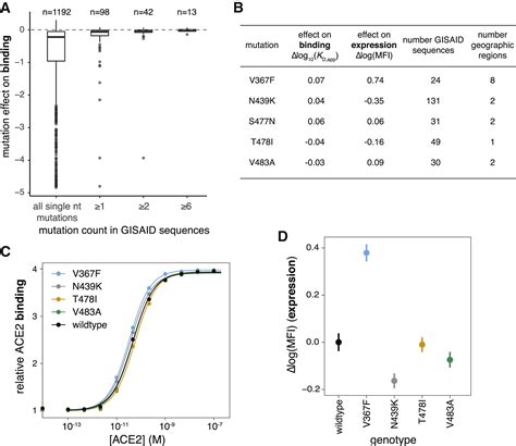 Deep Mutational Scanning Of Sars Cov 2 Receptor Binding Domain Reveals