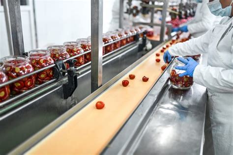 Fruit And Vegetable Processing Factory Shandong Leila Machinery Coltd