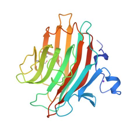 Rcsb Pdb 2a6x Crystal Structure Of Emp46p Carbohydrate Recognition Domain Crd Y131f Mutant
