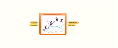 Product Life Cycle Stages IMindQ Mind Map Template Biggerplate