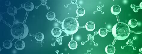 Applications And Showcases Of Rna Sequencing Throughout The Drug