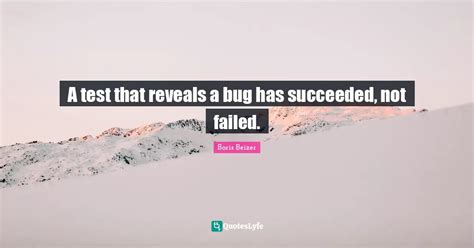 A Test That Reveals A Bug Has Succeeded Not Failed Quote By Boris