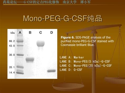 Ppt G Csf 的定点 Peg 化修饰 Powerpoint Presentation Free Download Id 4118285
