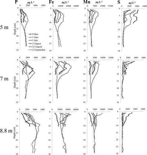 Dissolved P Fe Mn And S In Sediment Pore Water At The Three Sampling Download Scientific